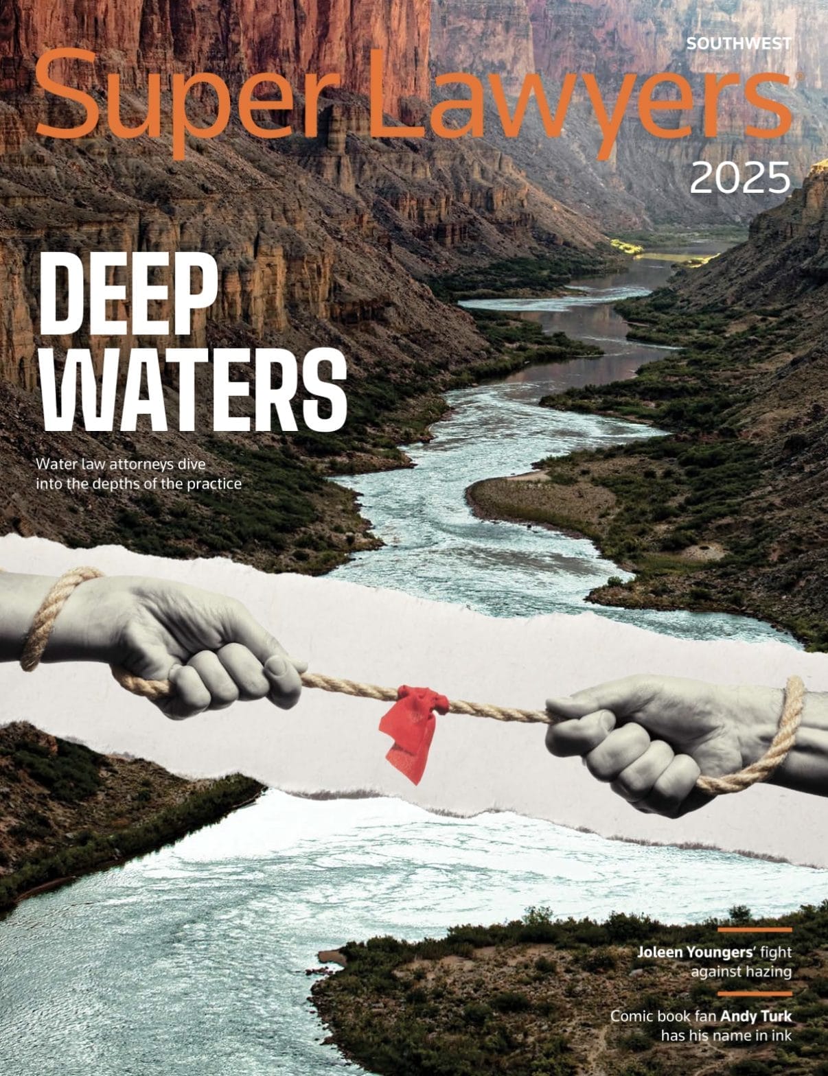 Andrew B. Turk, partner and chair of litigation at Rose Law Group, is a ...